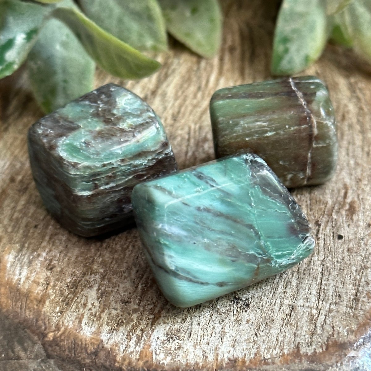 Chrysoprase Tumbled – InJewels Healing Jewelry
