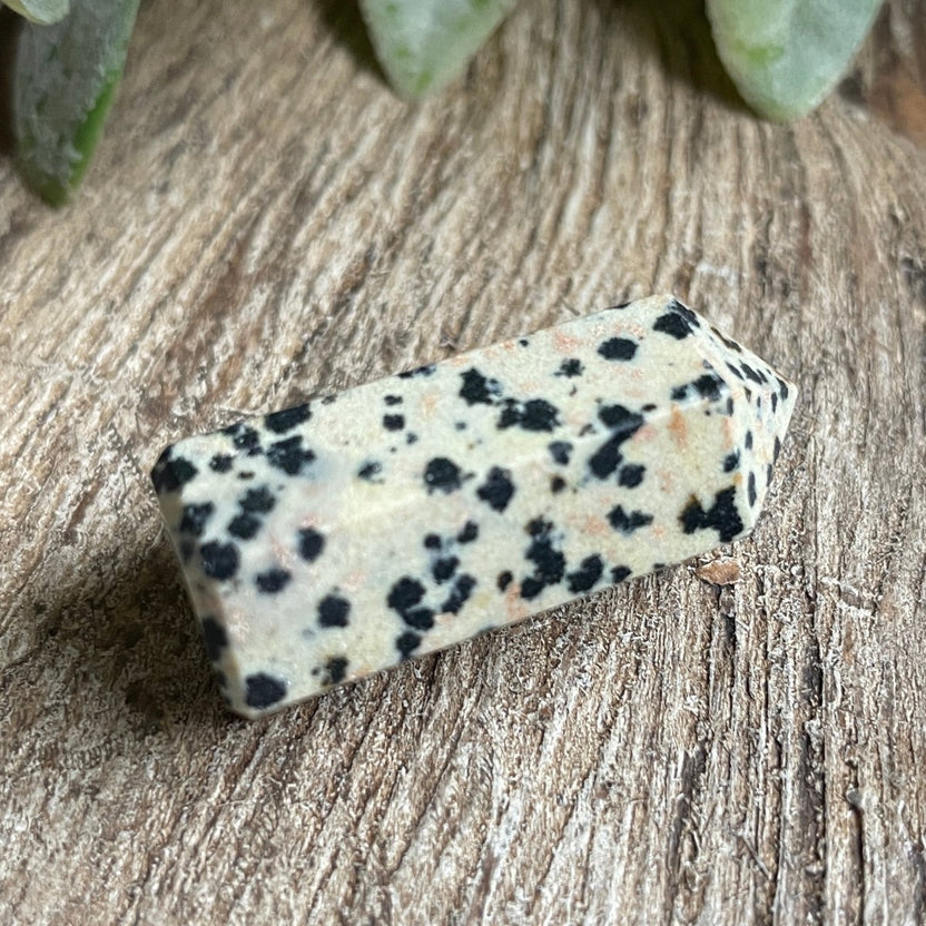 Jasper – InJewels Healing Jewelry