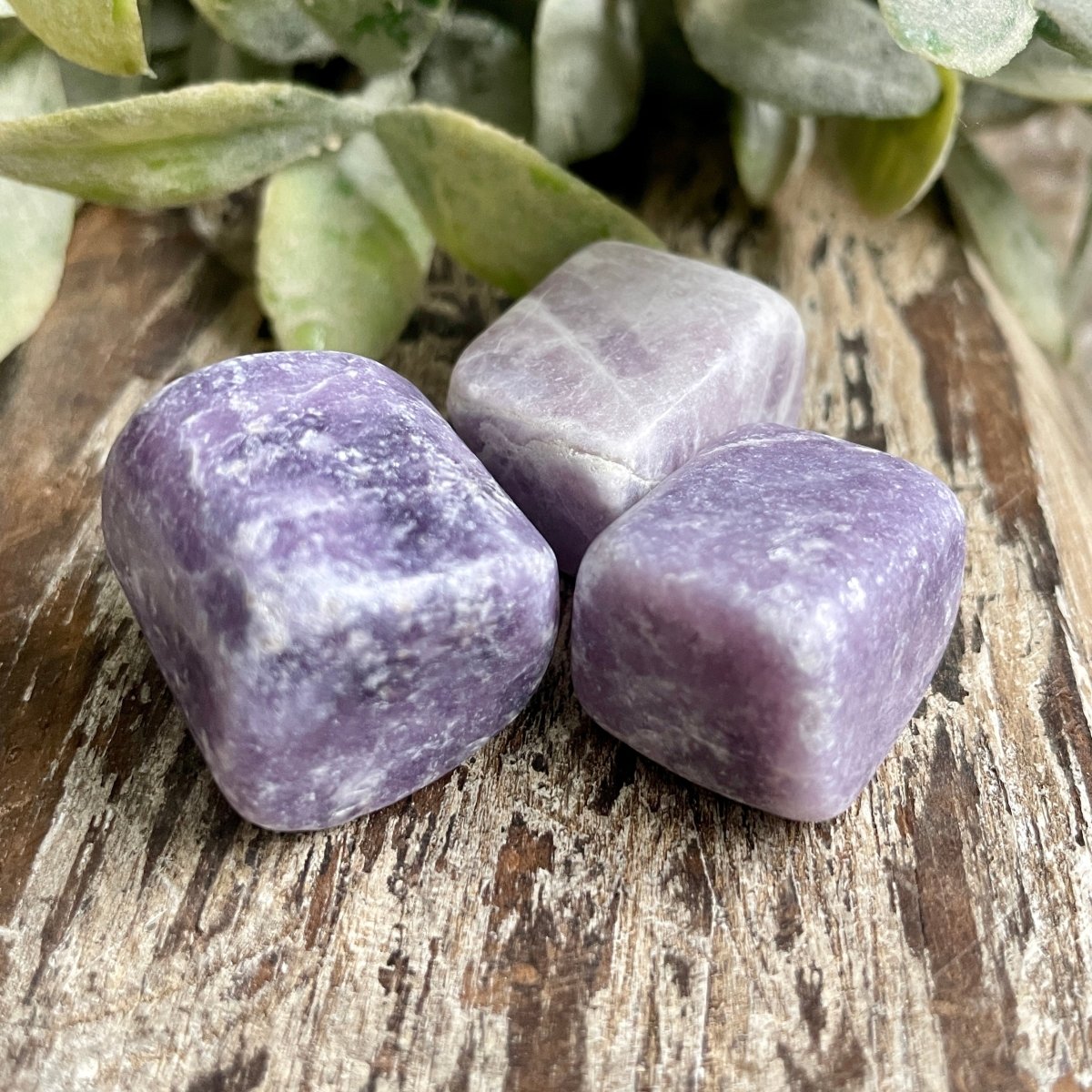 Lepidolite Tumbled Stones – InJewels Healing Jewelry